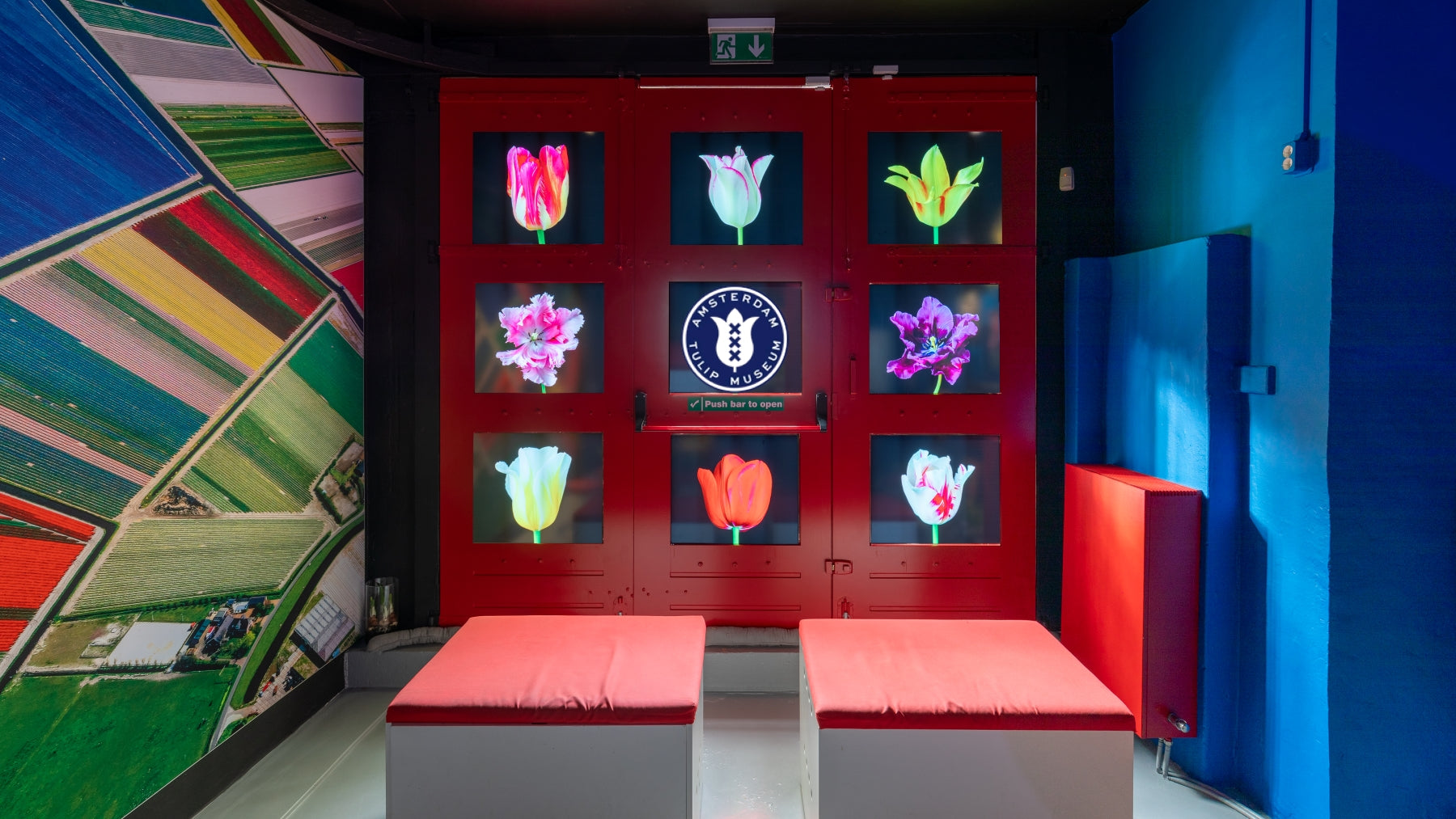 Books – Amsterdam Tulip Museum