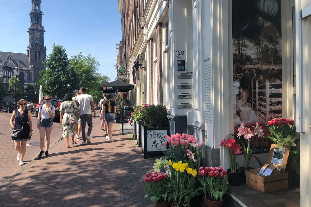 Semper Augustus: History’s Most Famous Tulip