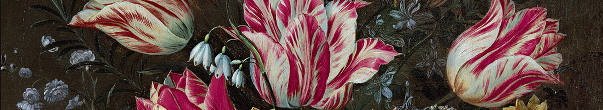 Semper Augustus: History’s Most Famous Tulip